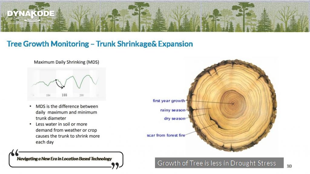DynaTTS - Innovative Dynakode Tree Tracking Sensors & Dendrometer ...